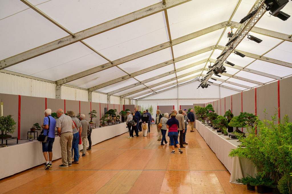 National Bonsai Fair - Parc Oriental de Maulévrier