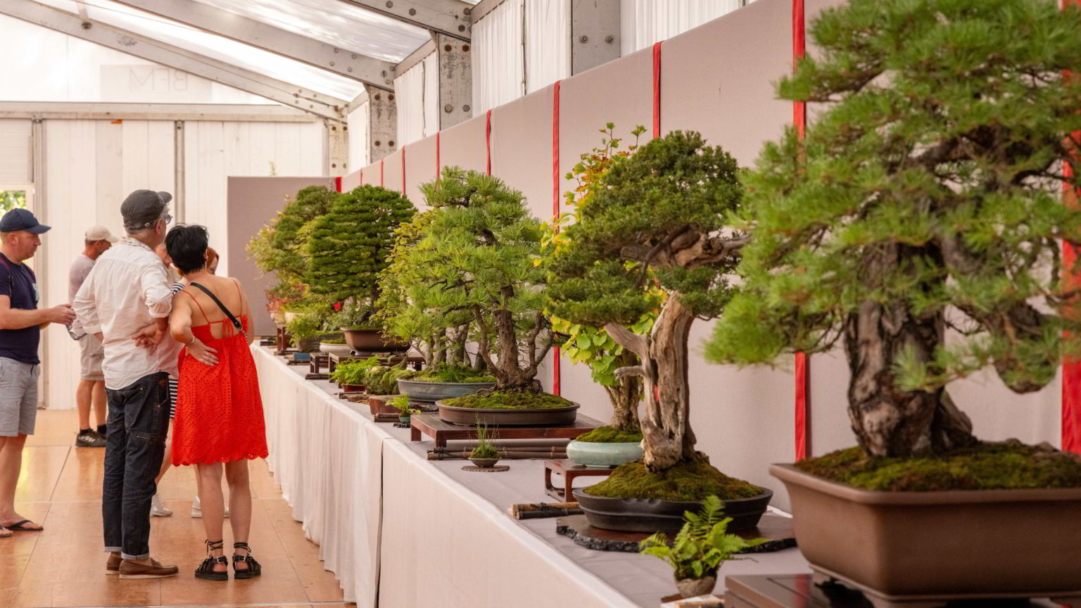 Inscription EXPOSANT - Bonsaï Shō 2025 - Parc Oriental de Maulévrier